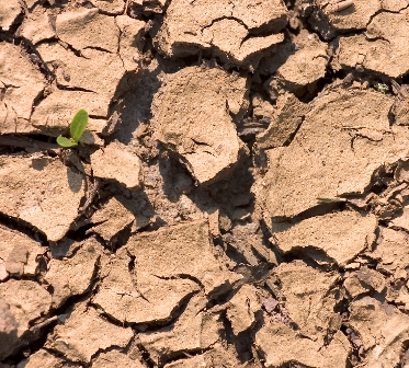 dry_earth - Eco Dentistry Association